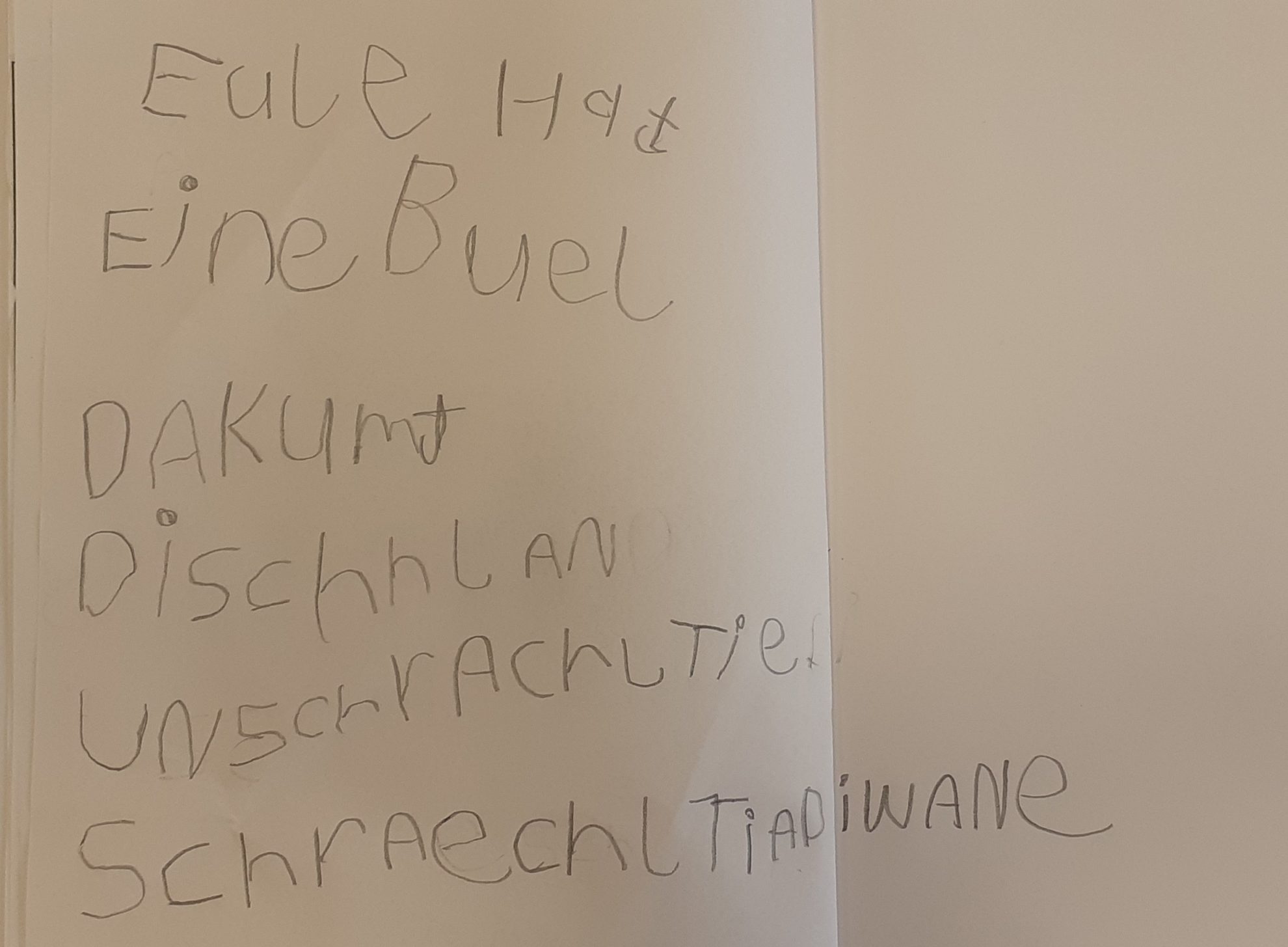 Die Eule mit der Beule - GGS Waldschule